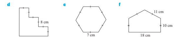8C1MAT22: Perimeter | MHOL